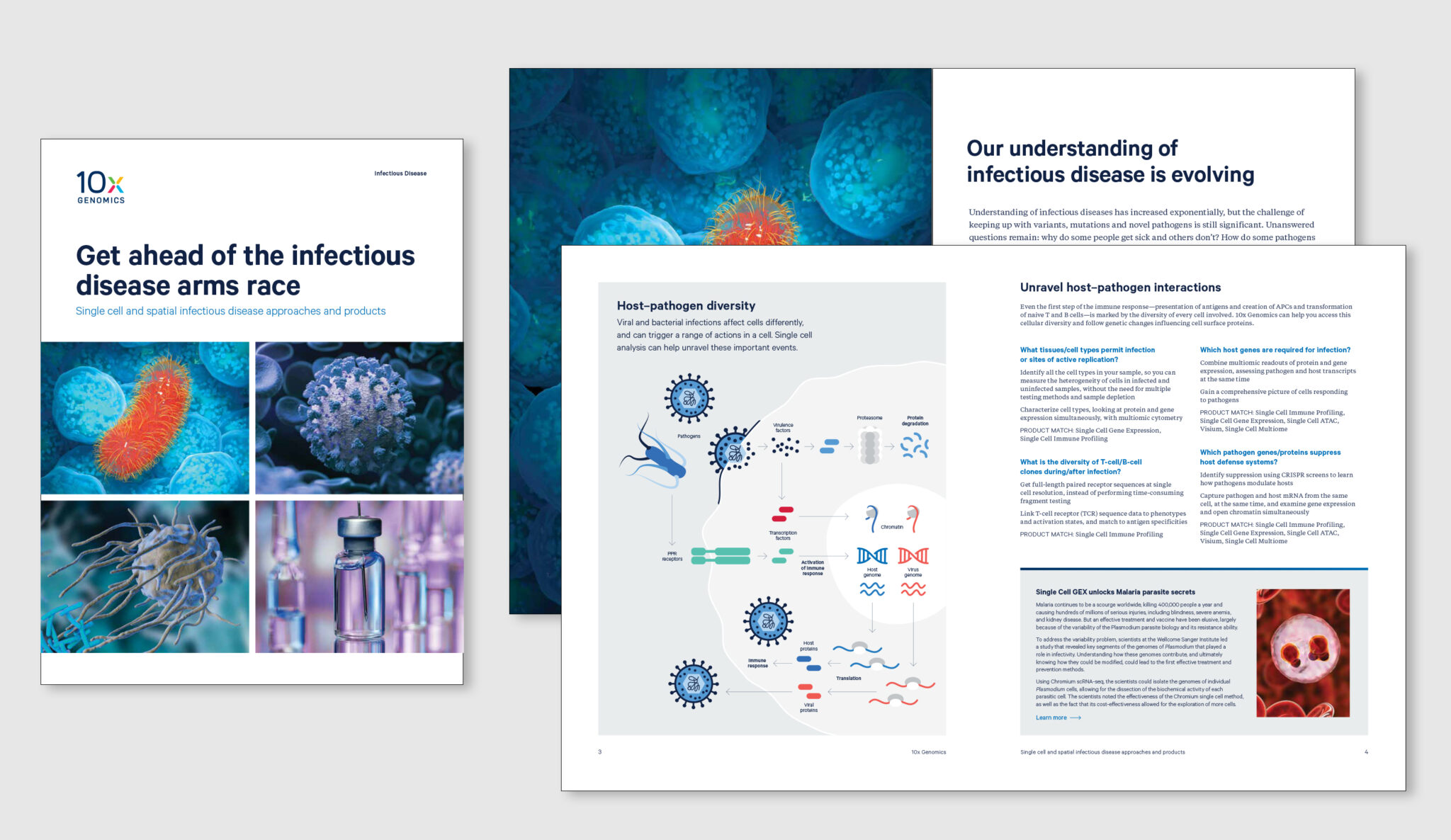10x Genomics – Wendy Wood